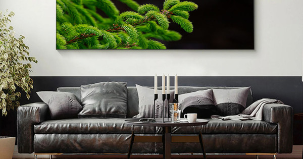 Verde Crud - Adriana Pana | ViZIO ⭐⭐⭐⭐⭐