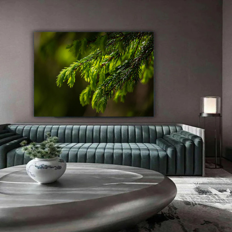 Verde Viu - Adriana Pana | ViZIO ⭐⭐⭐⭐⭐